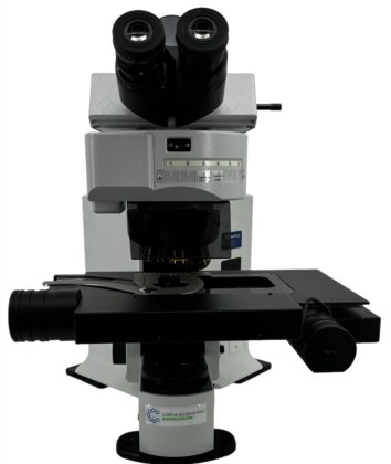 Olympus BX61 Upright Fluorescence Motorized Trinocular Microscope in ...