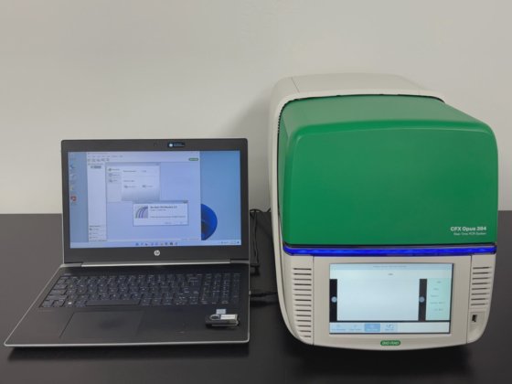 Bio-Rad CFX Opus 384 Real-Time qPCR System in Nixa, MO, USA