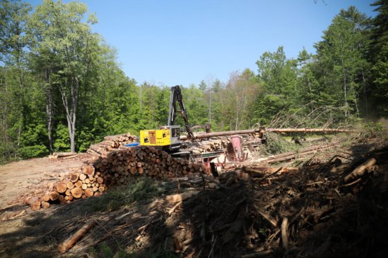 Evolution 960/965 Diesel Loader in Sainte-Justine, Quebec, Canada