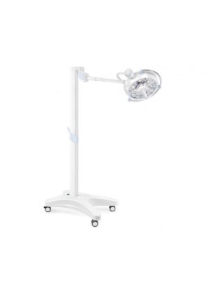 Rimsa Pentaled 30E Mobile Surgical Light in Lyon, France