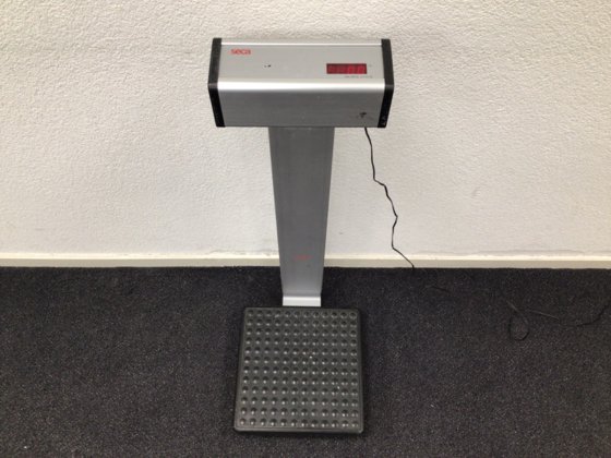 Seca Scale in Nieuwe Pekela, Netherlands