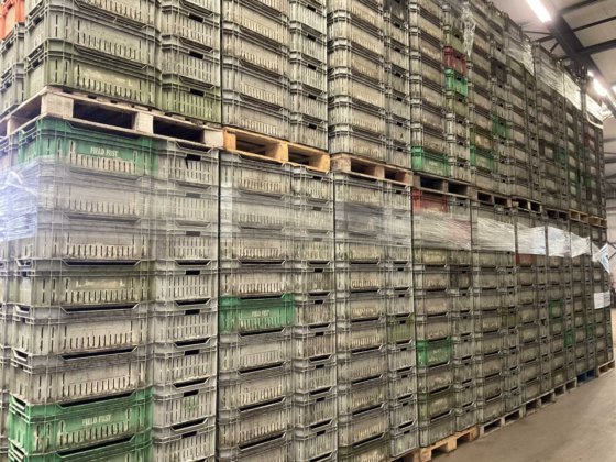 Fruit and vegetable stacking crates (900x) in De Lier, Netherlands