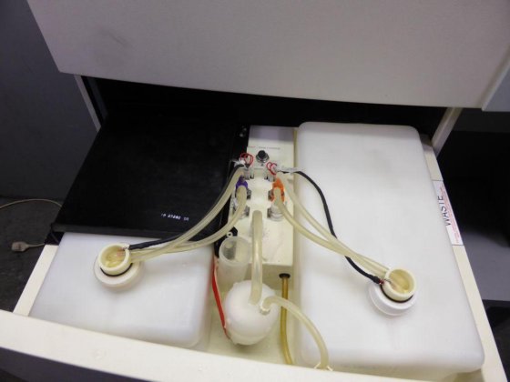 BD Becton Dickinson FACSCalibur Flow Cytometry Flow Cytometer in Borken ...
