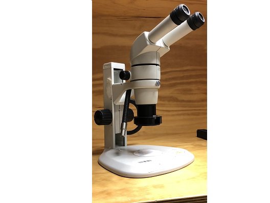 Nikon SMZ800 Stereo/Dissecting Microscope in Watertown, MA, USA