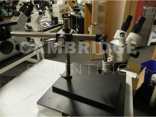 Leica Wild M10 Stereo/Dissecting Microscope in Watertown, MA, USA