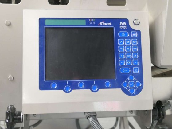 Marel sorting- & grading line in Oirschot, North Brabant, Netherlands