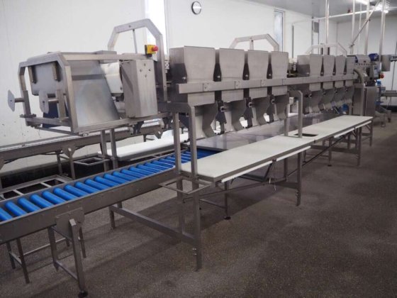 Marel sorting- & grading line in Oirschot, North Brabant, Netherlands