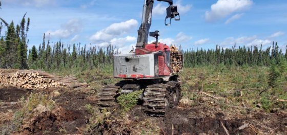 2013 TimberPro TF840B Log Forwarder in Québec City, Quebec, Canada