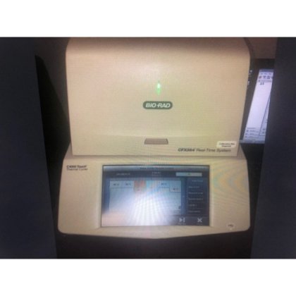 2020 Bio-Rad CFX384 Touch Real-Time PCR Detection System in New York ...