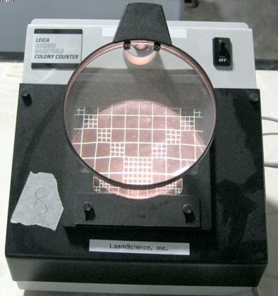 LEICA QUEBEC Darkfield Colony Counter in Williamston, SC, USA