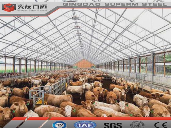 Prefab Warehouse Steel Structure Sheep Cow Cattle Building Farm Shed in ...