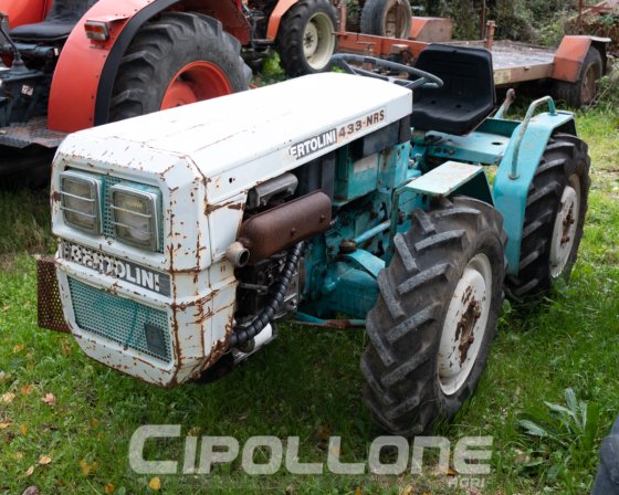 BERTOLINI 433-NRS in Miglianico, Italy