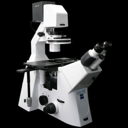 Zeiss Axio Observer 3 Inverted Phase Contrast Fluorescence Microscope ...
