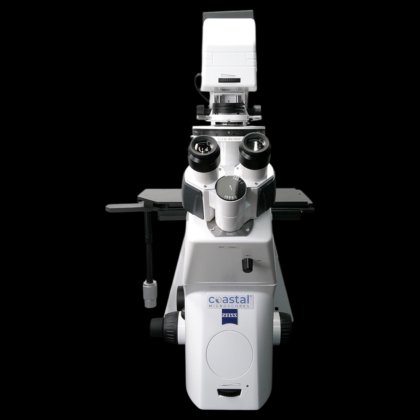 Zeiss Axio Observer 3 Inverted Phase Contrast Fluorescence Microscope ...