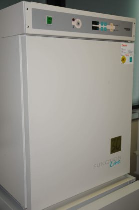 Heraeus Function Line 160L in Burladingen, Baden-Württemberg, Germany