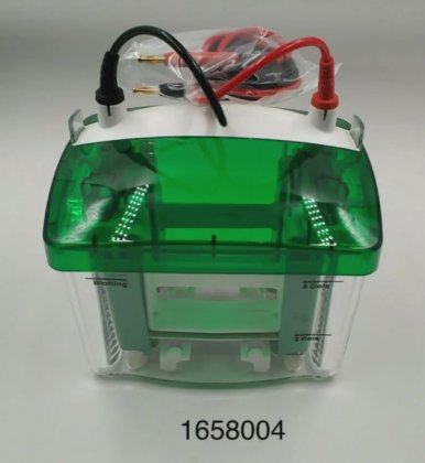 Bio-Rad 1658004 Mini-PROTEAN Tetra Vertical Electrophoresis Cell ...
