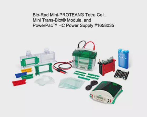 Bio-Rad 1658035 Mini-PROTEAN Tetra Cell, Mini Trans-Blot Module ...