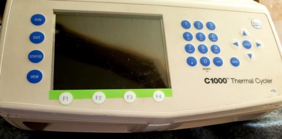 BIO-RAD C1000 chassis Gradient PCR in New York, NY, USA