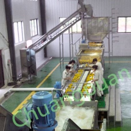 Stainless Steel Mango Pulp Machine For Streamlined Mango Processing in Shanghai, Shanghai, China