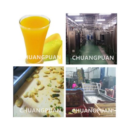 Innovative Mango Pulp Production Line for Fruit Vegetable Processing in ...