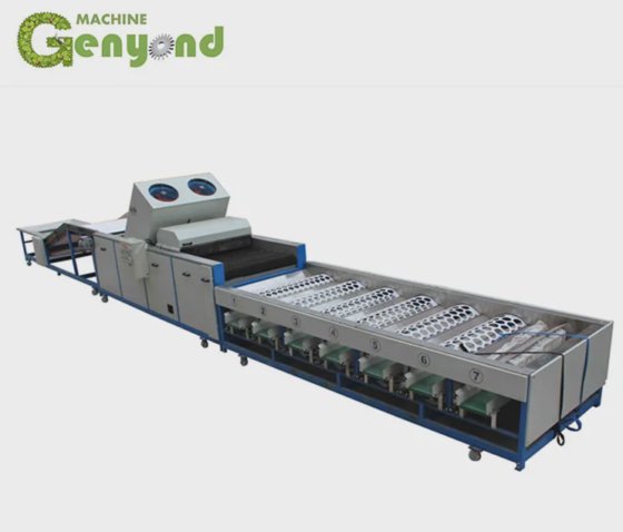 genyond sorting grading equipment machine Roll bar style in Shanghai ...
