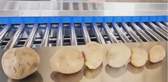 genyond sorting grading equipment machine Roll bar style in Shanghai ...