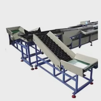 Jujube Grading Machine Automatic Weighing and Packing System Adjustable ...