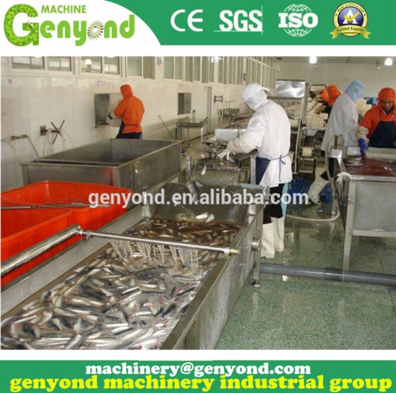 Manufacturer Supplier carp fish canning plant in Shanghai, China