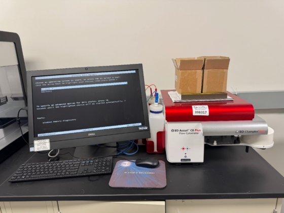 BD BD Accuri C6 Plus 398317 in Woonsocket, RI, USA