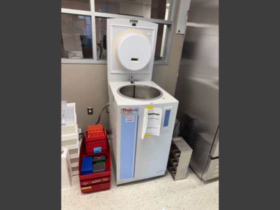 Thermo Cryoplus 1 Cryogenic Storage System in Woonsocket, RI, USA