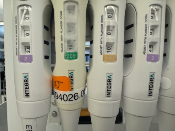 Integra Single Channel Pipettes - Quantity 13 in Woonsocket, RI, USA