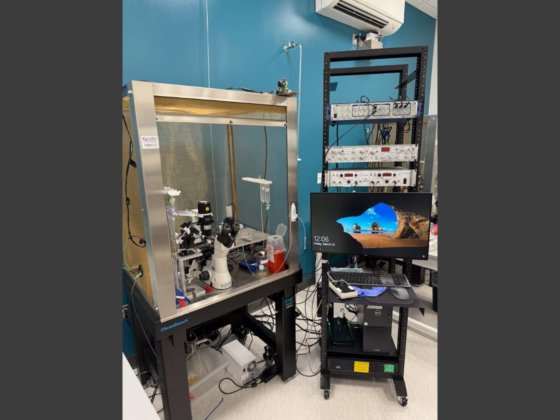 Electrophysiology Rig Nikon Eclipse TS1000 Inverted Microscope in ...