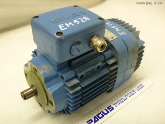 DEMAG electric motor in Zschepplin, Germany