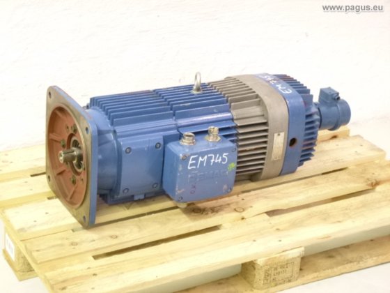 DEMAG DC motor with brake in Zschepplin, Germany
