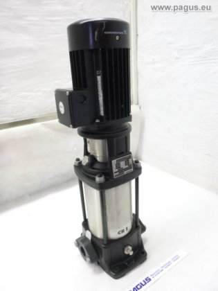 GRUNDFOS Inline pump in Zschepplin, Saxony, Germany