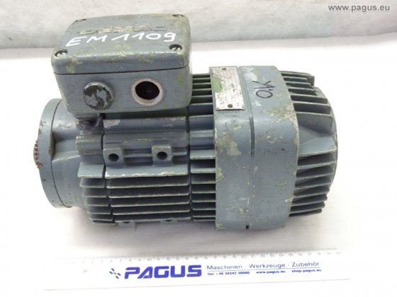 DEMAG electric motor with brake in Zschepplin, Saxony, Germany
