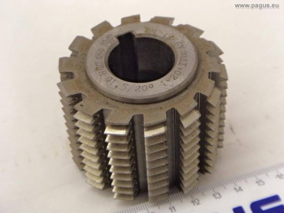 WMW hob cutter in Zschepplin, Saxony, Germany