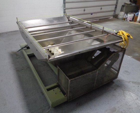 AMF U2 Dual Auger Dough Pump, Model: 10 in Tipton, MO, USA