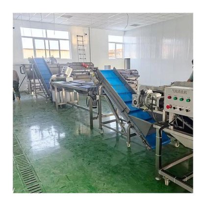 Cabbage root vegetables processing lines machine vegetable washing and cutting line in Weifang ...