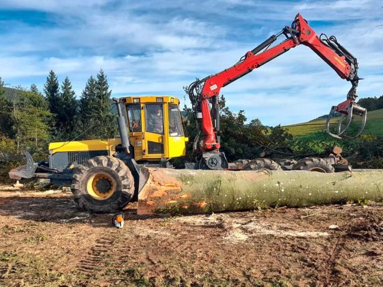 Gebraucht 2007 Welte in Eisenbach (Hochschwarzwald), Deutschland