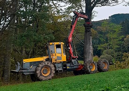 Gebraucht 2007 Welte in Eisenbach (Hochschwarzwald), Deutschland