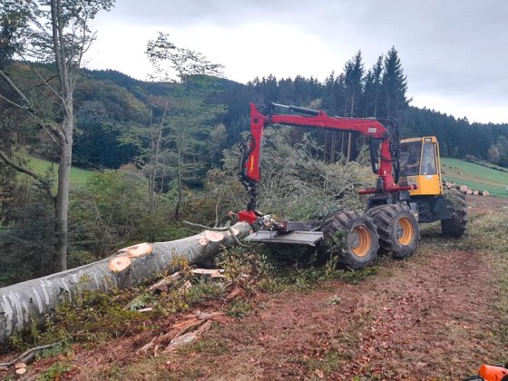 Gebraucht 2007 Welte in Eisenbach (Hochschwarzwald), Deutschland
