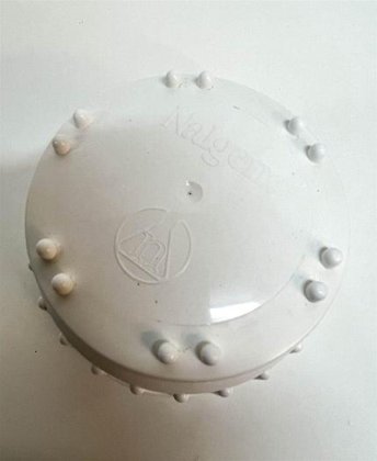 Nalgene 5 Gallon 20 Liter PP Graduated Carboy with spigot & 83B Cap ...