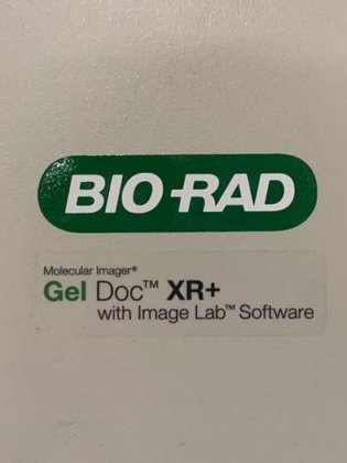 BIO-RAD Gel Doc XR+ Gel Documentation System in Tokyo, Japan in Tokyo ...