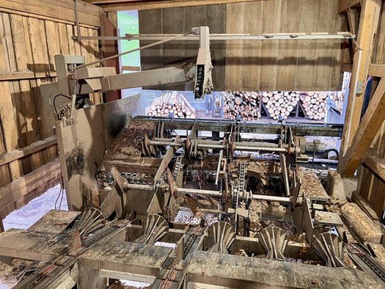 log sorting and debarking line in Salzburg, Austria