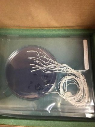 SensArray 1501A-6-0058 TC Wafer, 6 Inch, 5 Points in United States