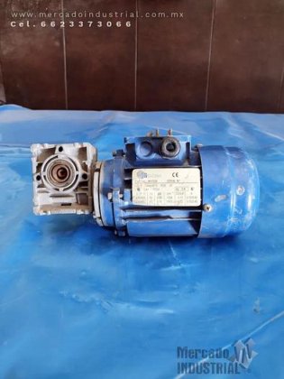 Variator of .10 KW type NMRV-025 brand Motovario in Hermosillo, Mexico
