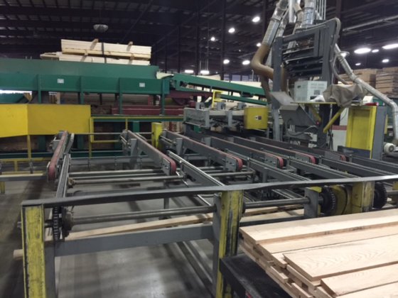 Mereen Johnson 441 Rip Saw with Cameron Automation Infeed in USA