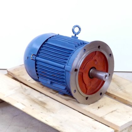 WEG Three Phase Motor W22 High Eff. 1023851274 in Rosenfeld, Germany