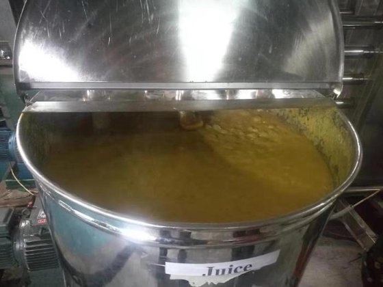 2024 fruit processing machine turnkey project mango juice/mango pulp ...